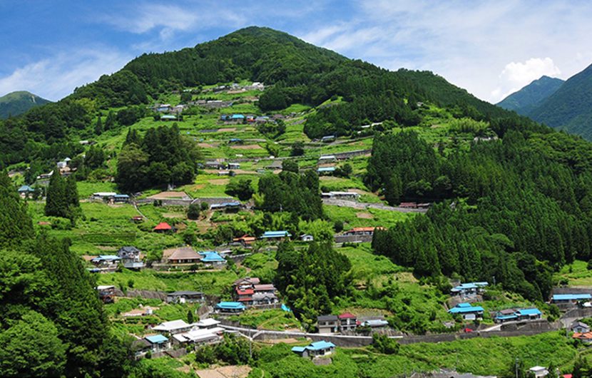 Oboke / Iya Taxi Course to the Iya Valley and Oku-Iya Niju Kazurabashi ...